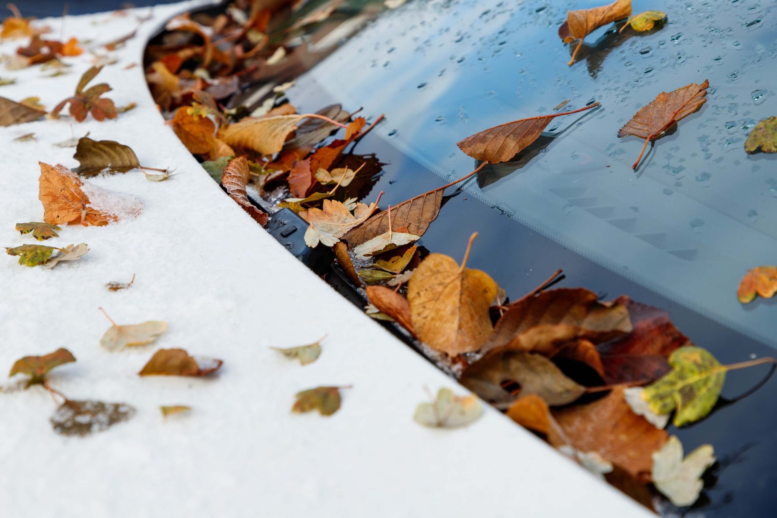 The Impact of Weather on Auto Glass: What You Should Know